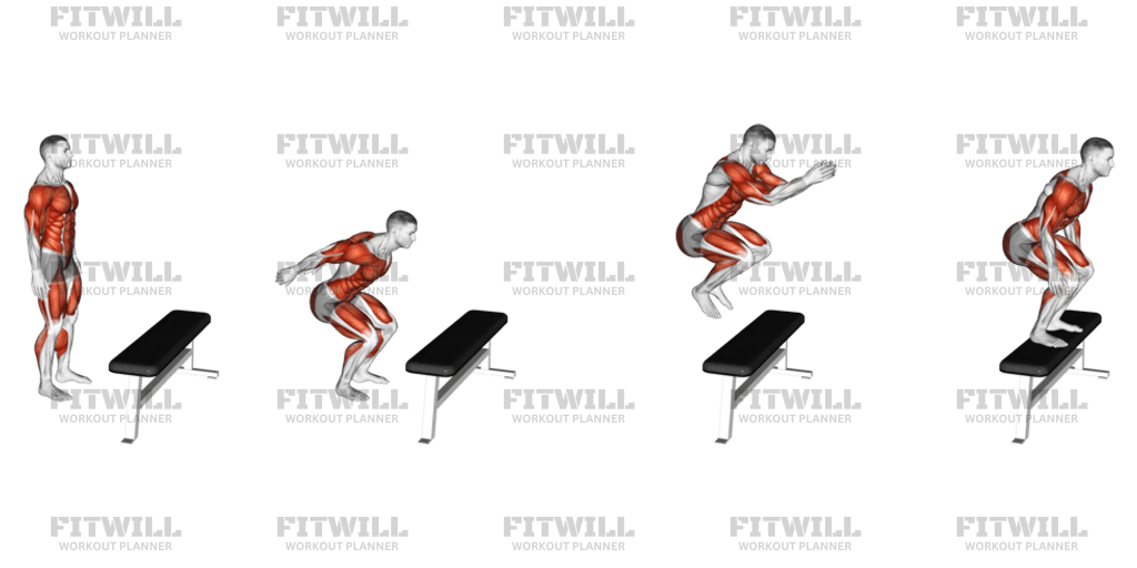 Jump Box: Exercise Guide, Techniques, Benefits, How to, Muscles Worked ...