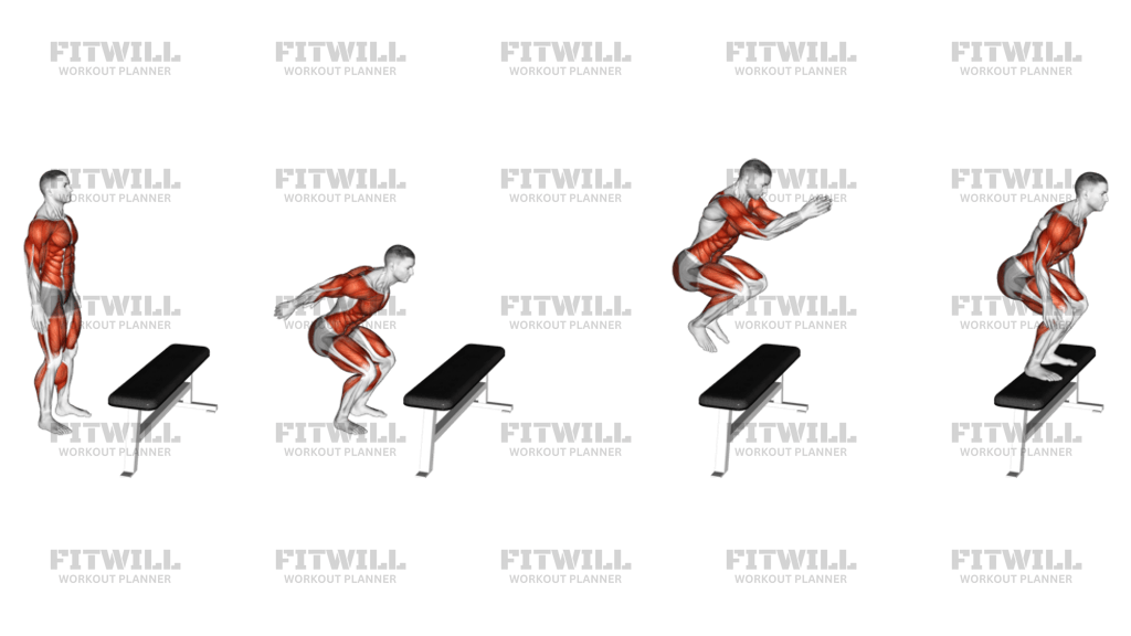 Jump Box: Exercise Guide, Techniques, Benefits, How to, Muscles Worked ...