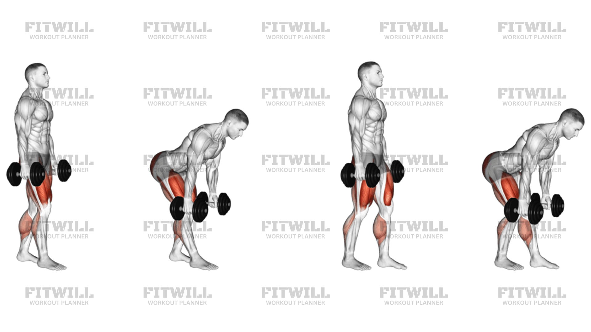 Dumbbell RDL Death March: Exercise Guide, Techniques, Benefits, How to ...