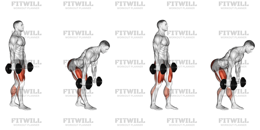 Dumbbell RDL Death March: Exercise Guide, Techniques, Benefits, How to ...
