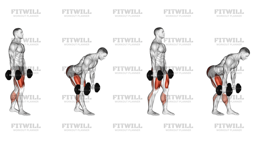 Dumbbell RDL Death March: Exercise Guide, Techniques, Benefits, How to ...