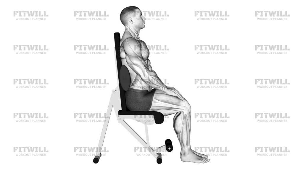 Static Position Seated Back With Pad: Exercise Guide, Techniques ...