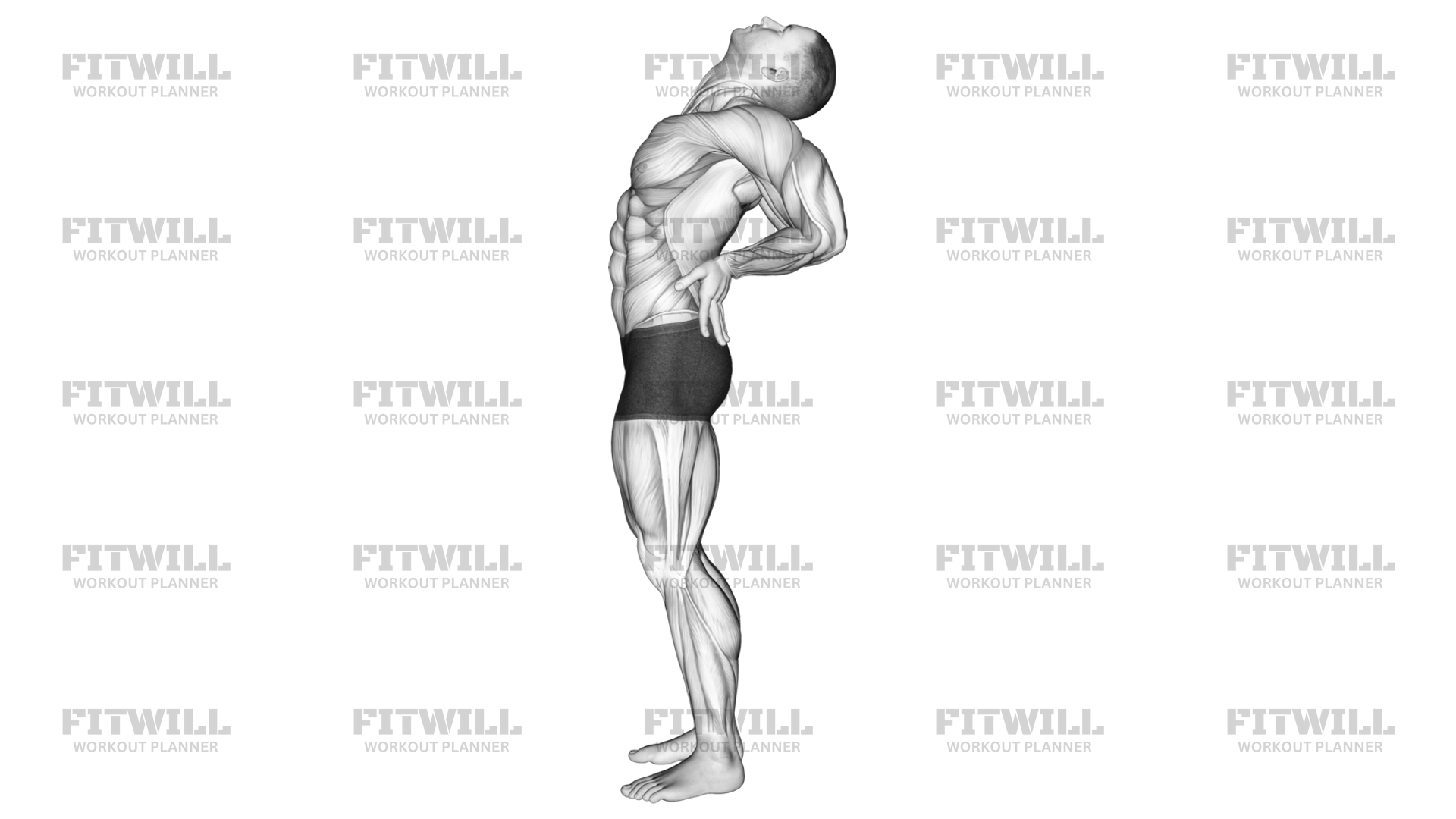 Static Position Standing: Exercise Guide, Techniques, Benefits, How to ...