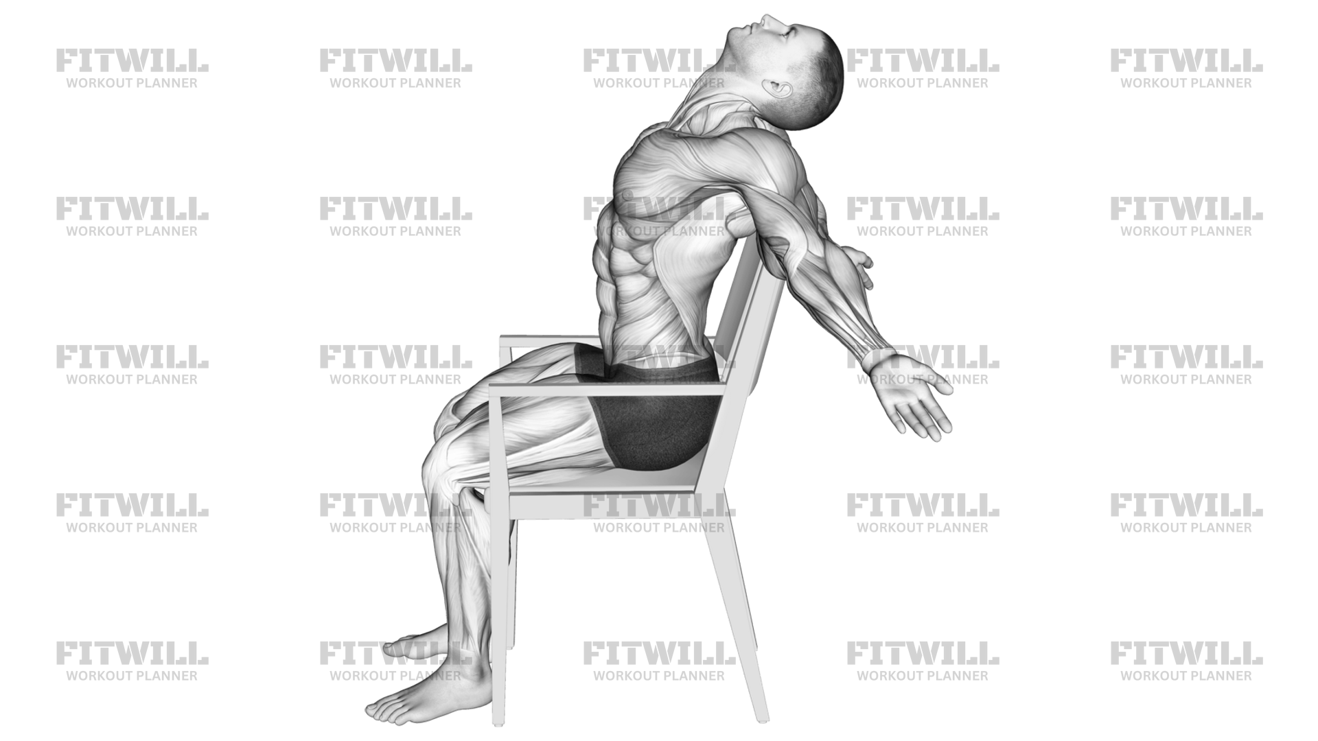 Static Position Seated Back: Exercise Guide, Techniques, Benefits, How ...