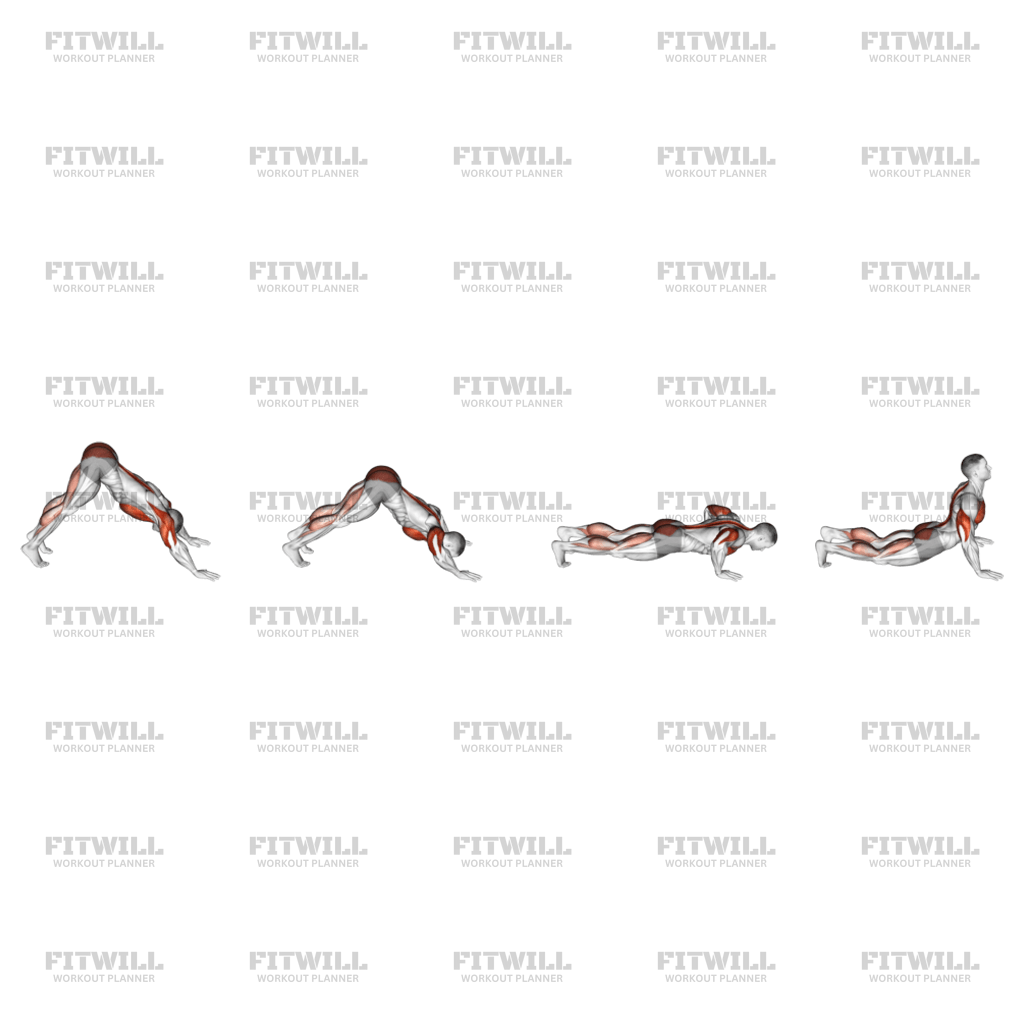 Cobra push up store