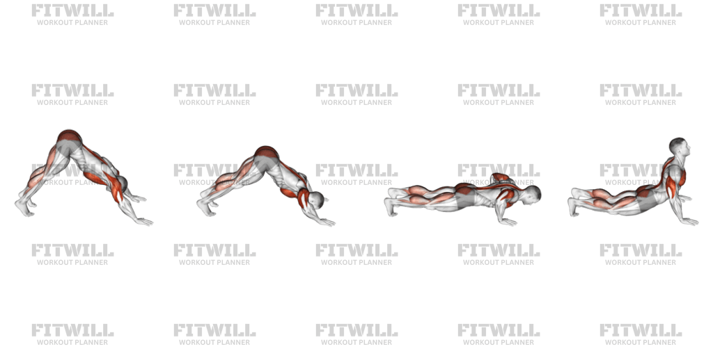 Pike-to-Cobra Push-up: Exercise Guide, Video, Techniques, Benefits, How ...
