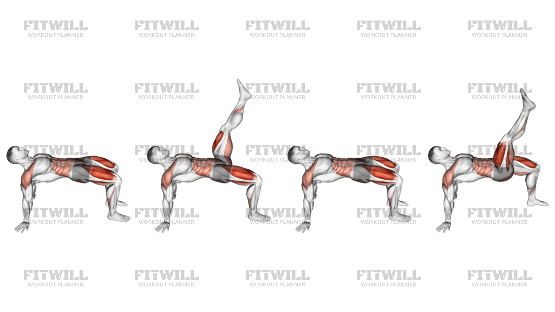Reverse Plank With Leg Lift: Exercise Guide, Video, Techniques ...