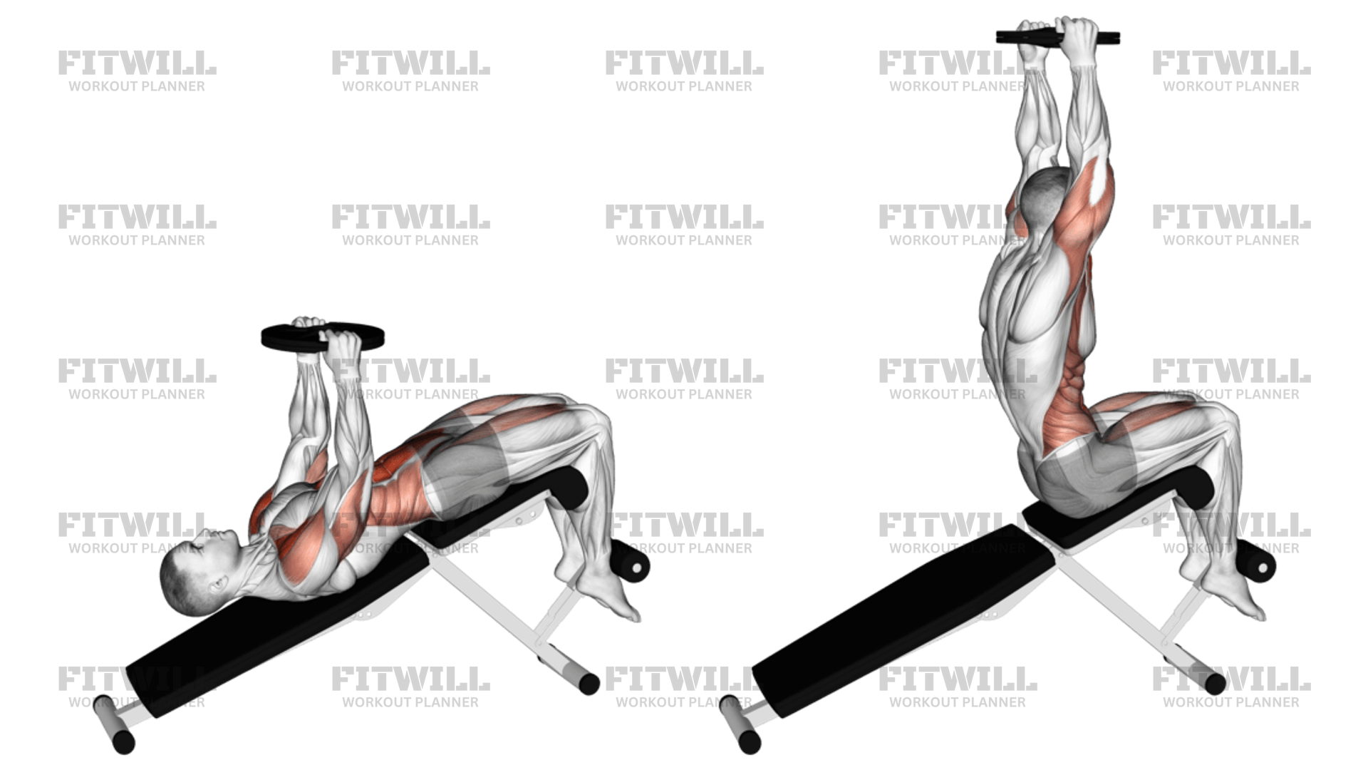 Weighted Decline Sit-Up: Exercise Guide, Video, Techniques, Benefits ...