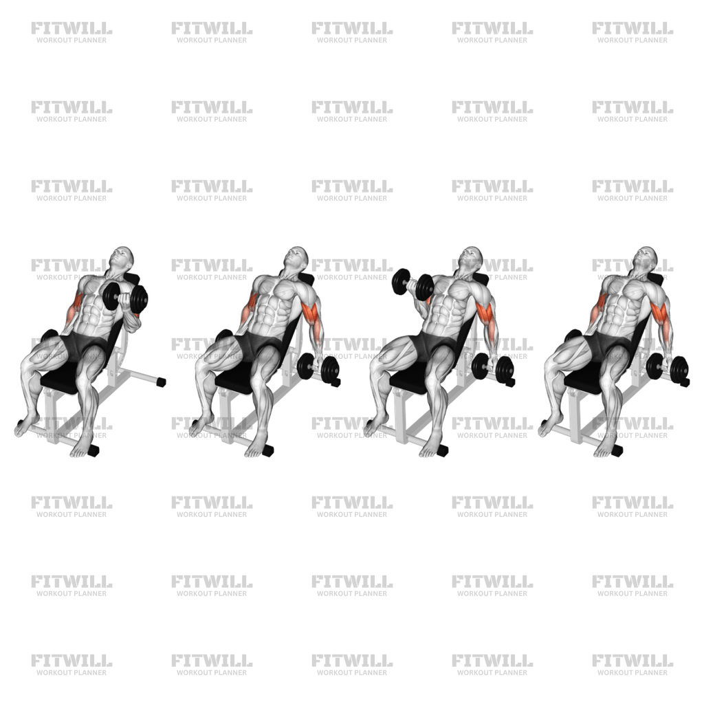 Ultimate Arm Sculpting Workout: Dumbbell Exercises for Biceps and ...