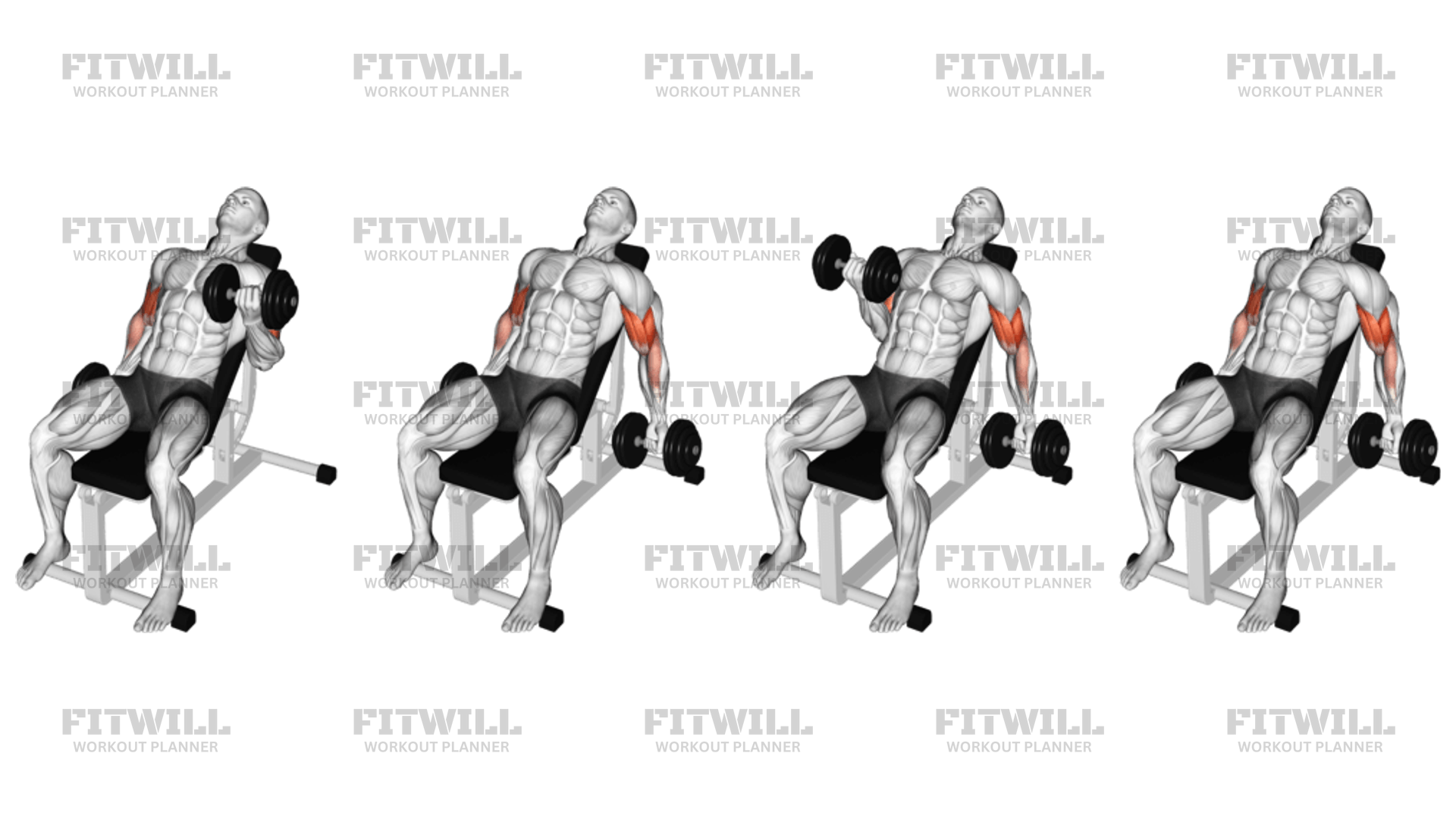 Dumbbell Incline Alternate Bicep Curl Exercise Guide Video