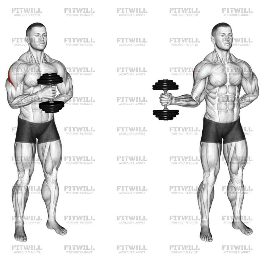 Dumbbell External Rotation: Exercise Guide, Video, Techniques, Benefits ...