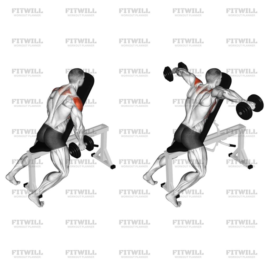 Elevaciones Laterales Con Mancuernas Con Apoyo En El Pecho: Guía de ...