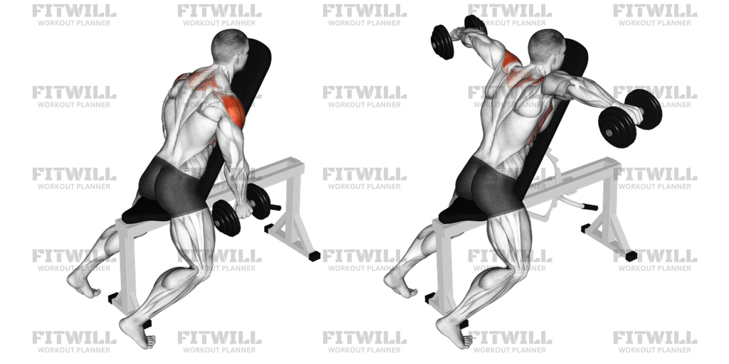 Dumbbell Chest Supported Lateral Raises: Exercise Guide, Video ...