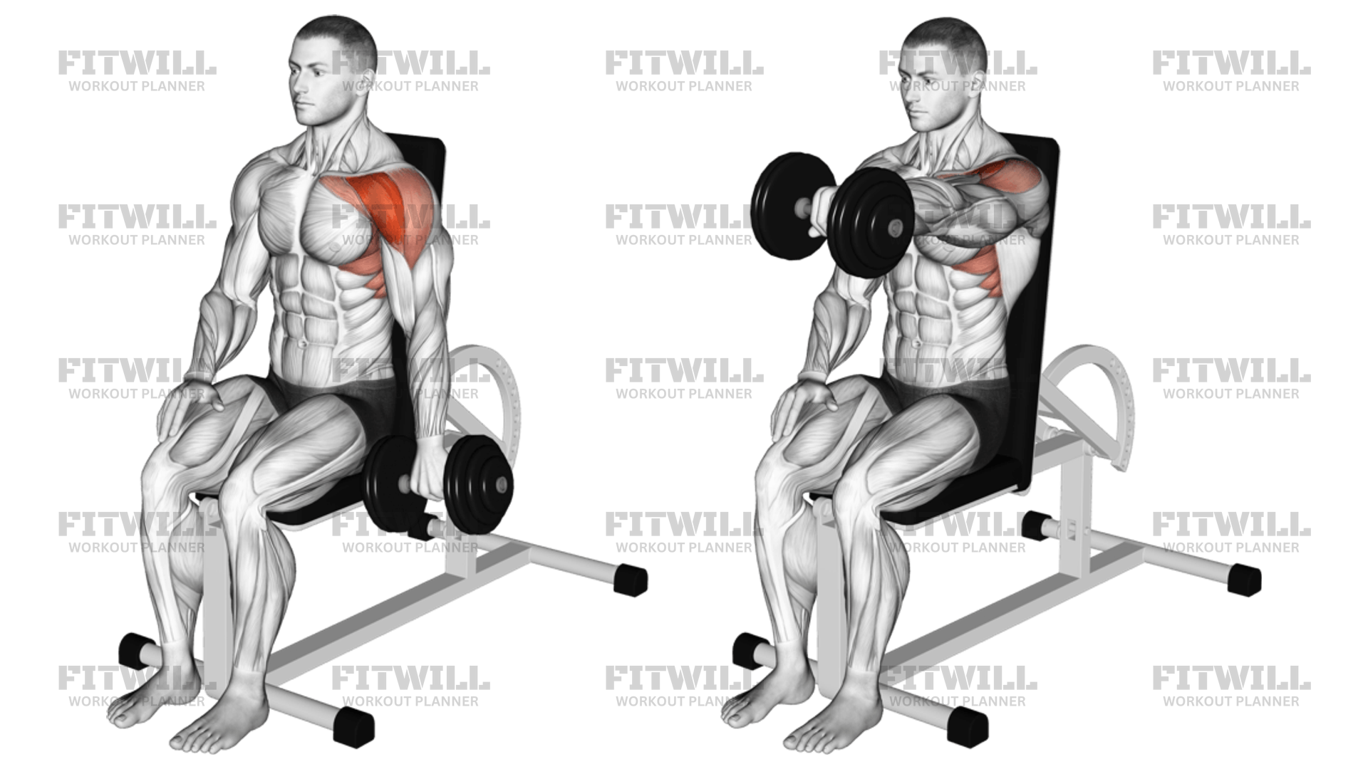 Dumbbell Seated One Arm Front Raise: Exercise Guide, Techniques ...