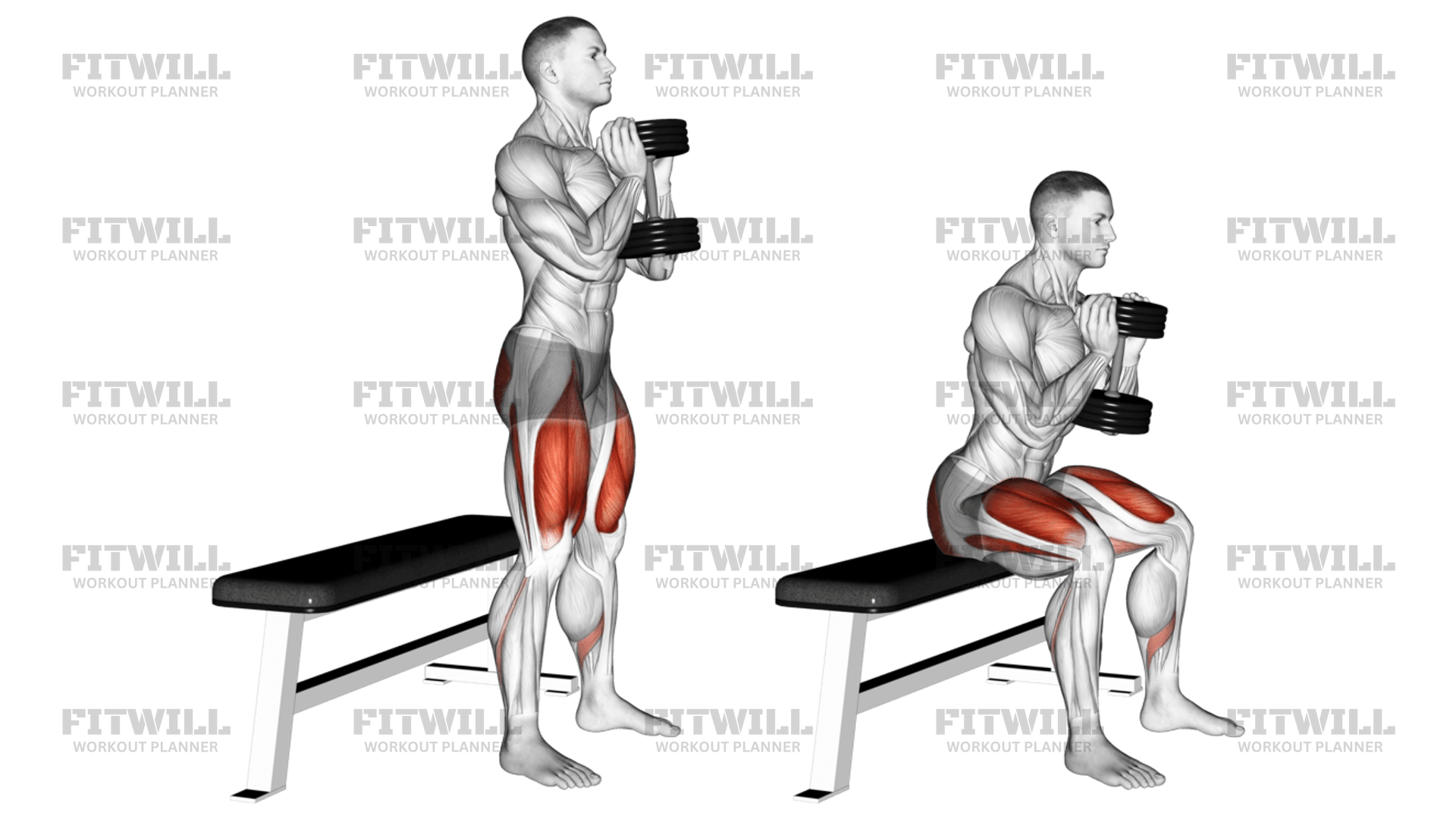 Sentadilla Con Mancuerna En Copa Y Caja: Guía de Ejercicios, Técnicas ...
