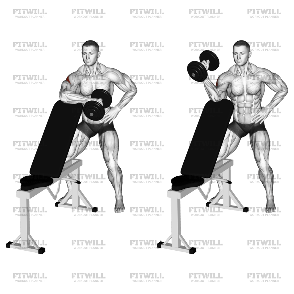 Dumbbell Bench Supported External Rotation: Exercise Guide, Techniques ...