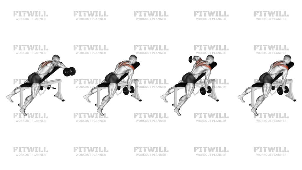 Dumbbell Incline Alternate Reverse Fly: Exercise Guide, Techniques ...