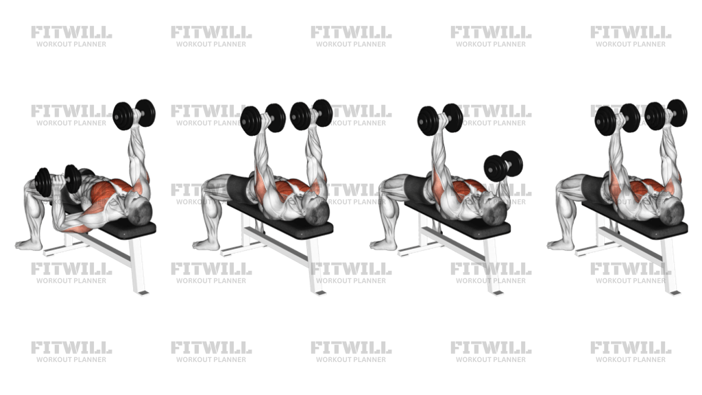 Ultimate Chest Sculpt: Master Dumbbell Bench Press, Flys, and Pullovers ...