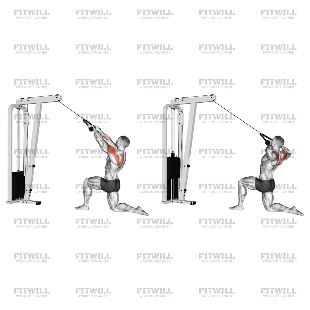 Cable Rope Kneeling Rear Delt Row: Exercise Guide, Video, Techniques ...