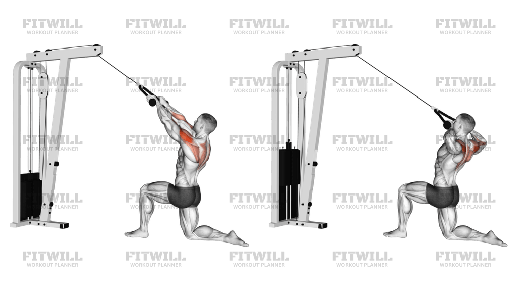 Cable Rope Kneeling Rear Delt Row: Exercise Guide, Video, Techniques ...