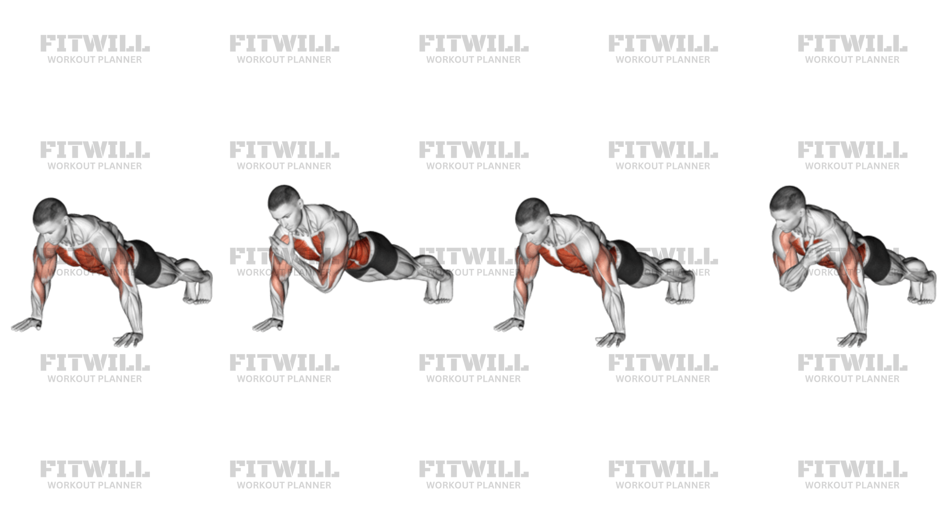 Shoulder Tap: Exercise Guide, Video, Techniques, Benefits, How to ...