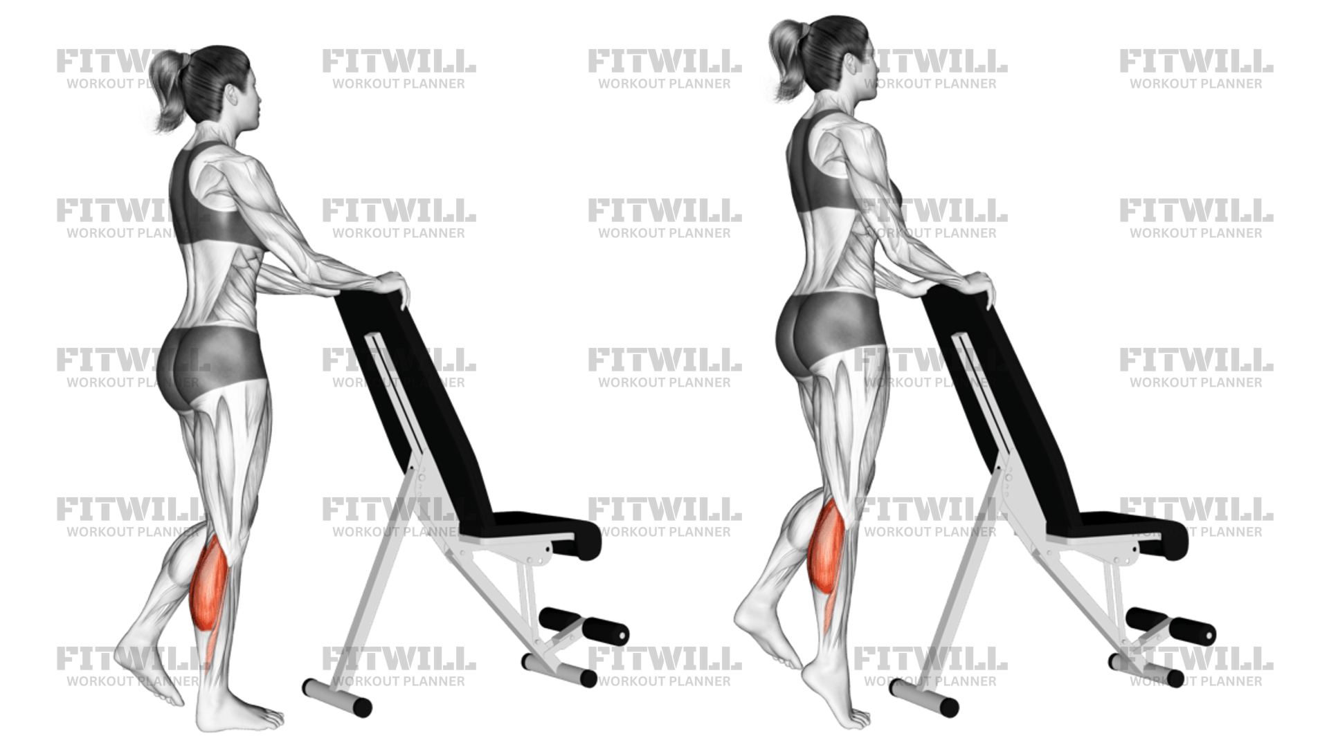 Élévation De Mollet Unilatérale Debout Avec Appui : Guide d'exercice ...