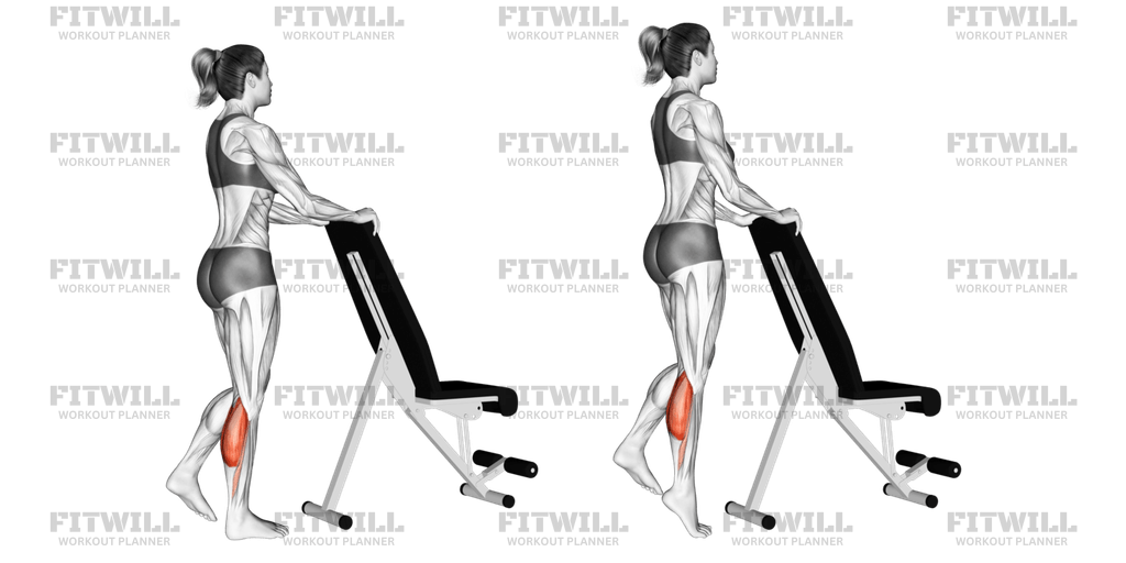 Standing Single Leg Calf Raise With Support: Exercise Guide, Techniques ...