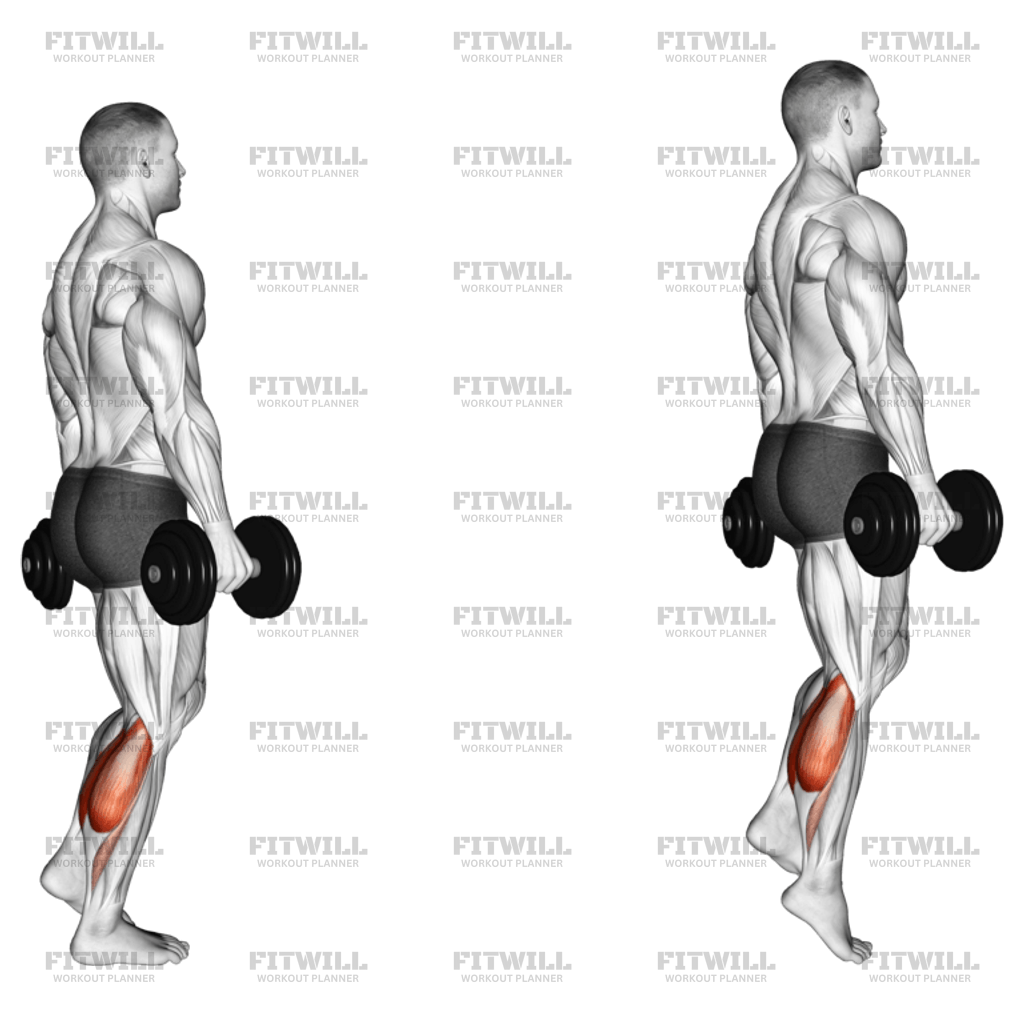 Dumbbell Standing Single Leg Calf Raise (R): Exercise Guide, Video ...