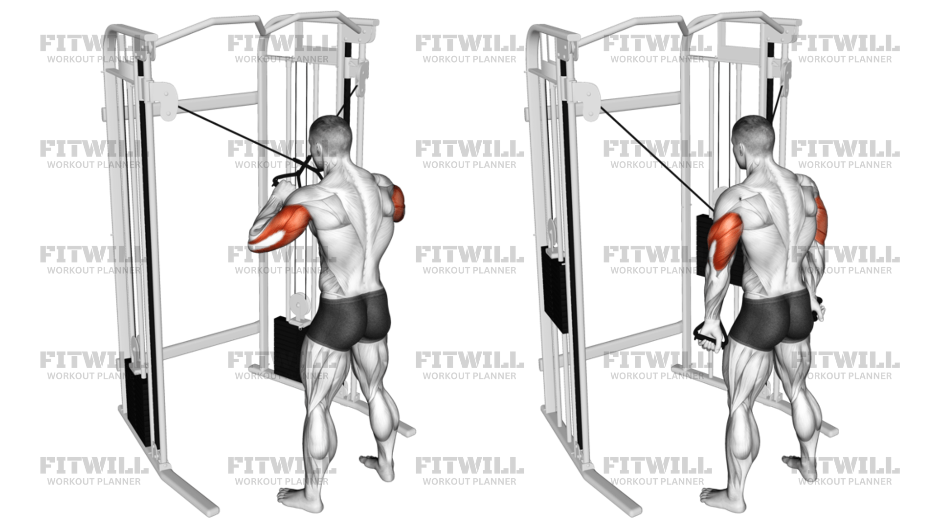 Cable Standing High Cross Triceps Extension: Exercise Guide, Video ...
