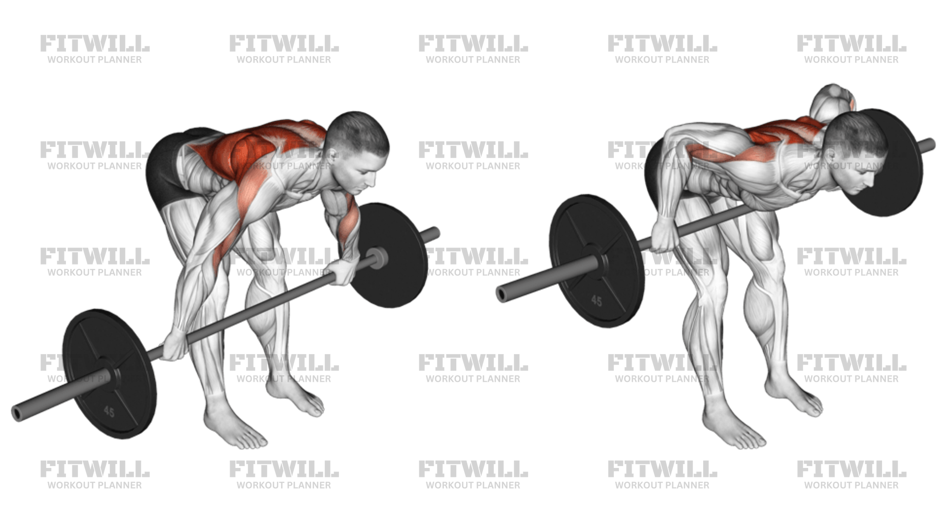 Barbell Bent Over Wide Grip Row: Exercise Guide, Video, Techniques ...