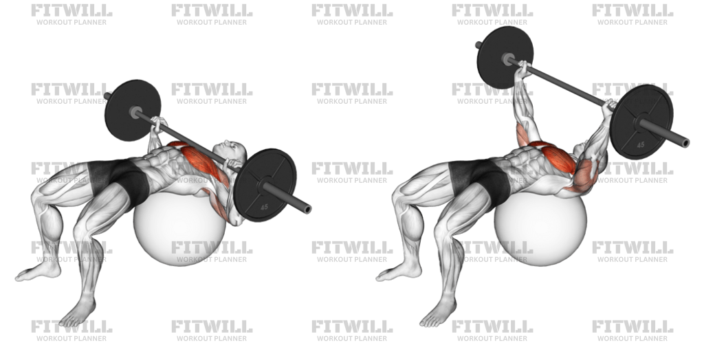 Barbell Chest Press On Stability Ball: Exercise Guide, Techniques ...