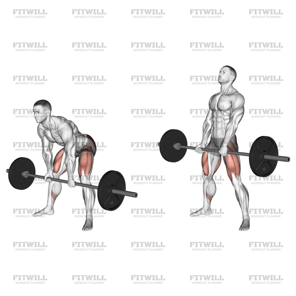 Barbell Sumo Romanian Deadlift: Exercise Guide, Video, Techniques ...