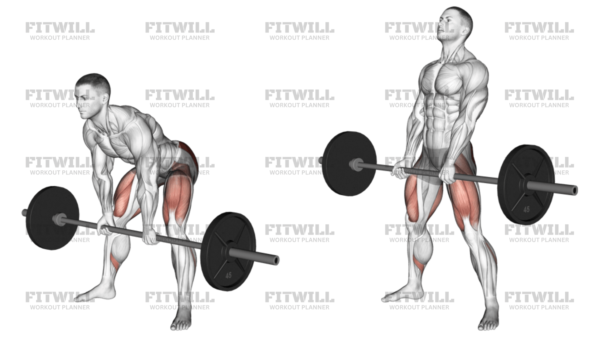 Peso Muerto Rumano Sumo Con Barra: Guía de Ejercicios, Video, Técnicas ...