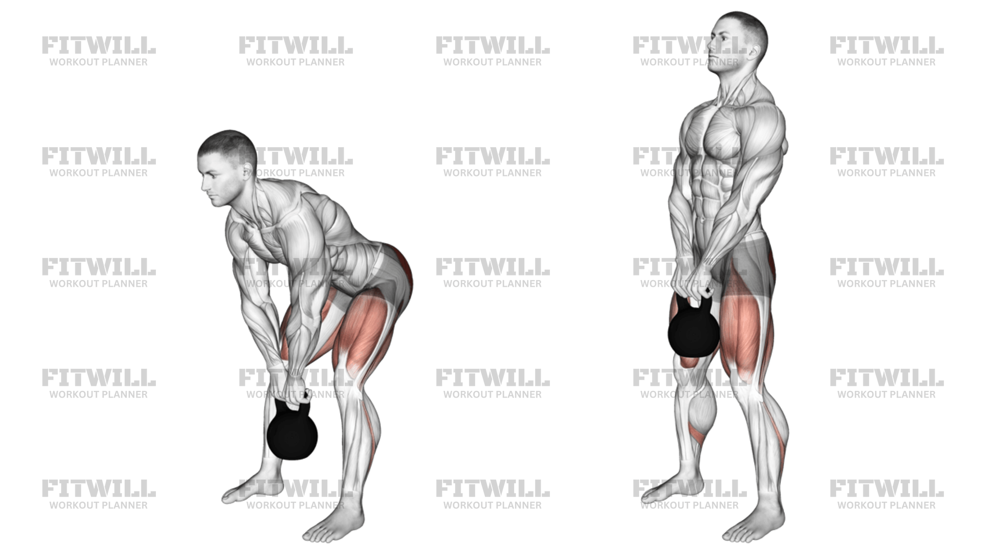 Kettlebell Straight Leg Deadlift: Exercise Guide, Video, Techniques ...