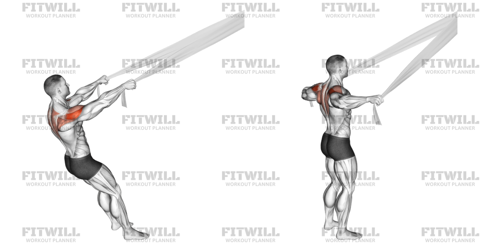 Rear Delt Fly With Bed Sheet: Exercise Guide, Techniques, Benefits, How ...