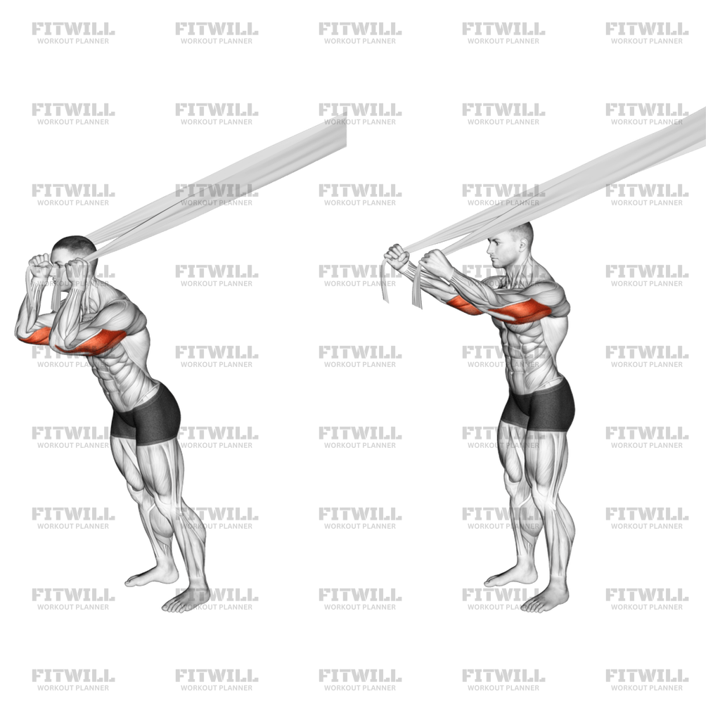 How To Do Overhead Triceps Extension With Bed Sheet Techniques Benefits Tips And Tricks Fitwill