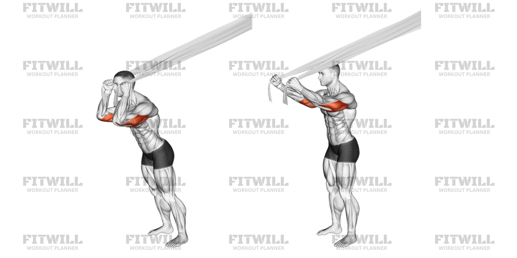 Overhead Triceps Extension With Bed Sheet: Exercise Guide, Techniques ...