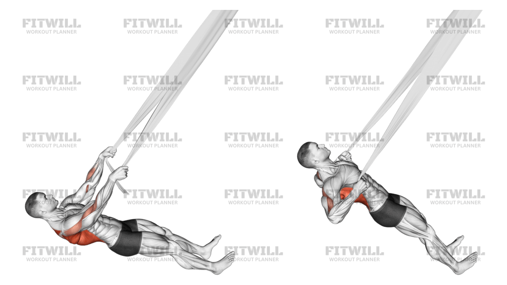 Inverted Row With Bed Sheet: Exercise Guide, Techniques, Benefits, How ...