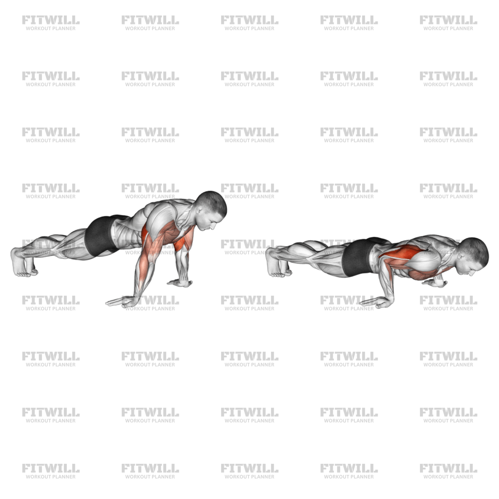 Reverse Push Up Exercise Guide Video Techniques Benefits How To