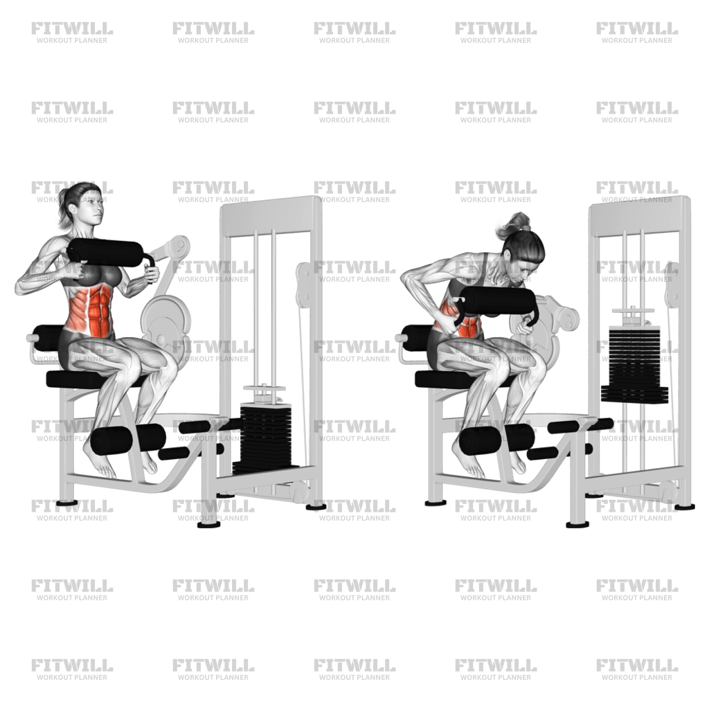 Lever Seated Crunch (chest Pad): Exercise Video | Fitwill