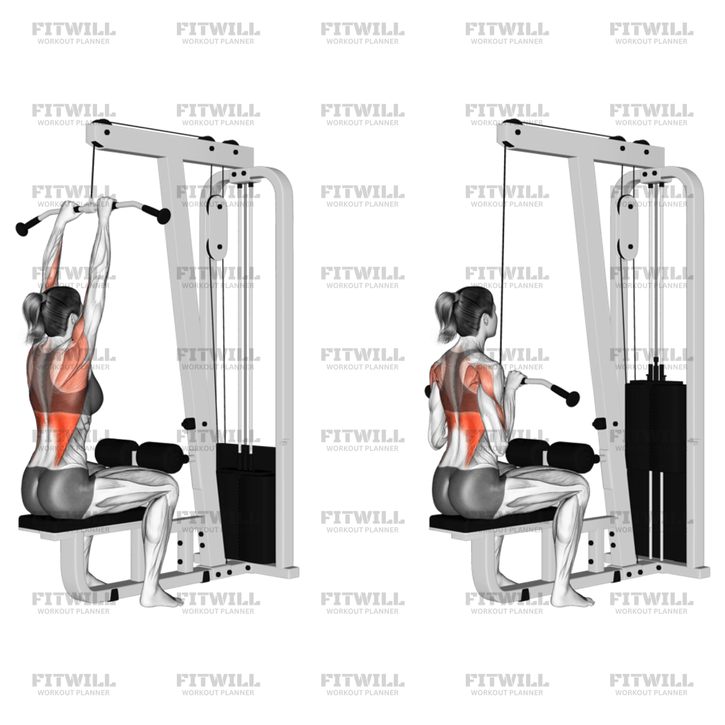 Jalón Frontal Con Agarre Cerrado En Polea: Video de Ejercicio | Fitwill