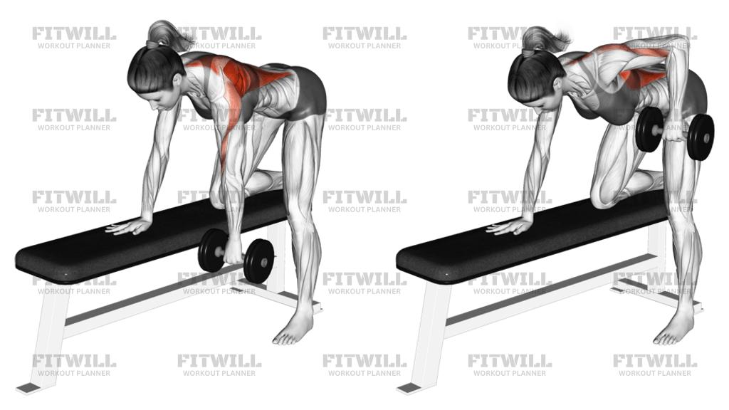 Remo Con Mancuernas Para Deltoides Posteriores: Guía de Ejercicios ...