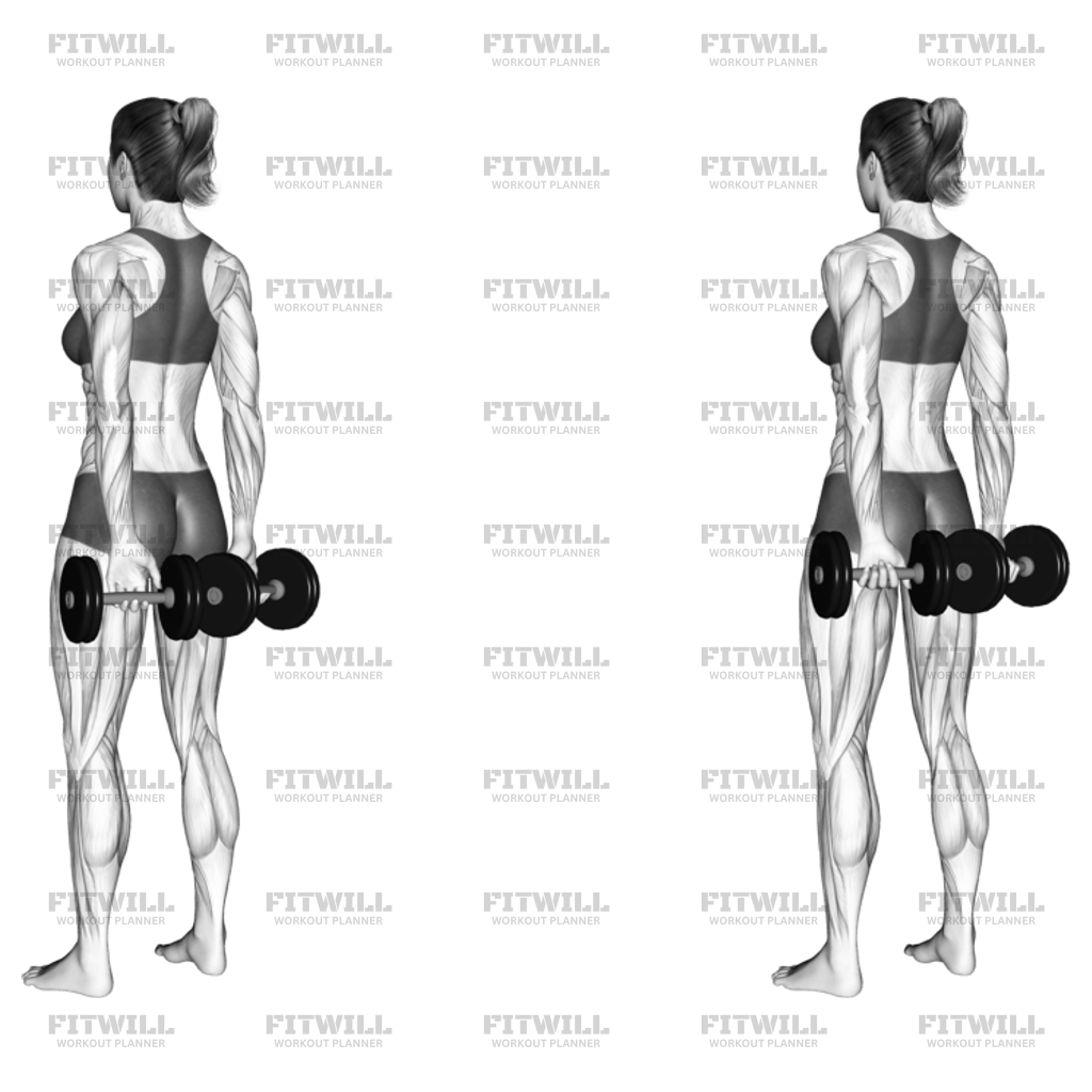 Dumbbell Behind Back Finger Curl: Exercise Guide, Video, Techniques ...