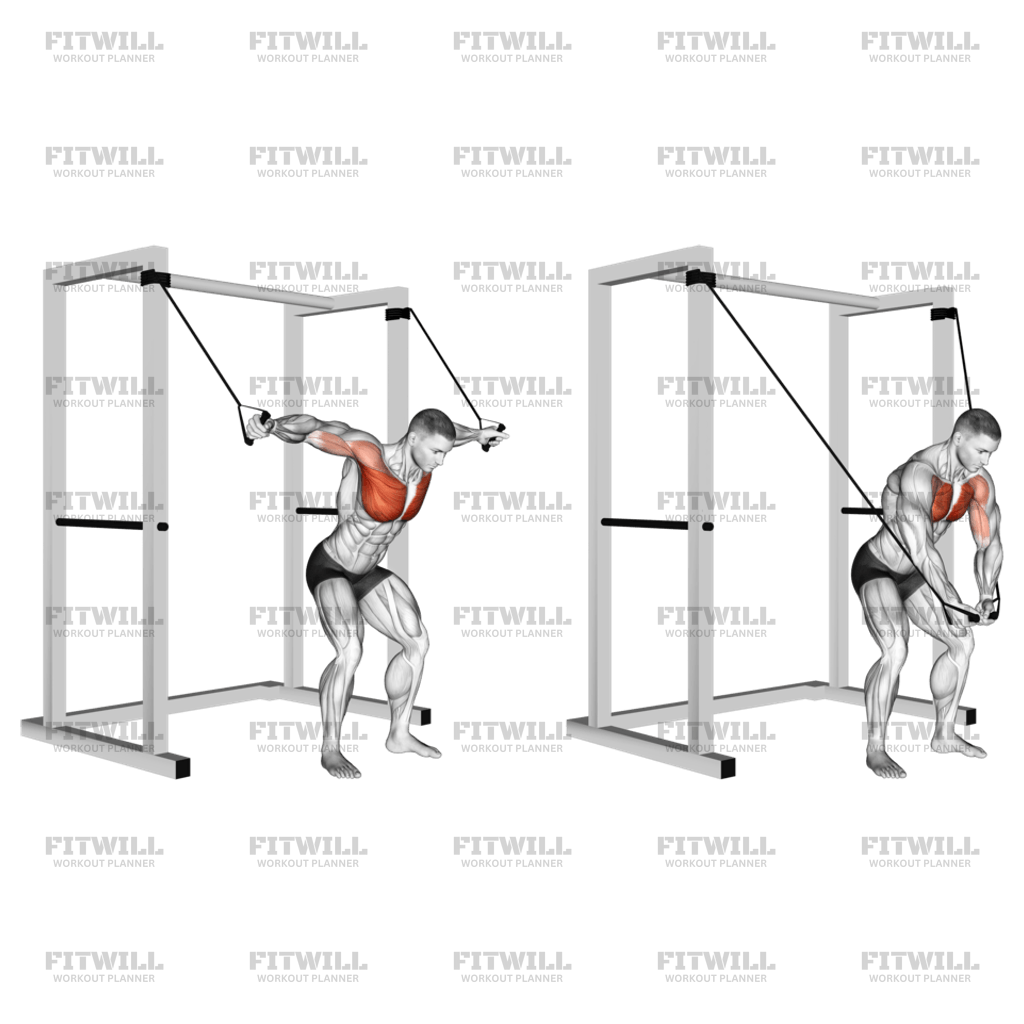 Band High Fly: Exercise Guide, Video, Techniques, Benefits, How to ...