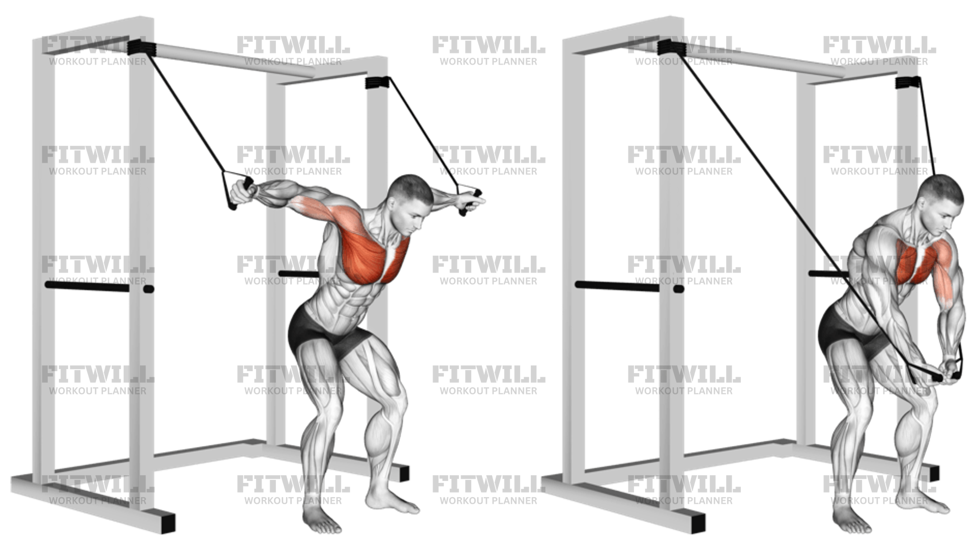 Band High Fly: Exercise Guide, Video, Techniques, Benefits, How to ...