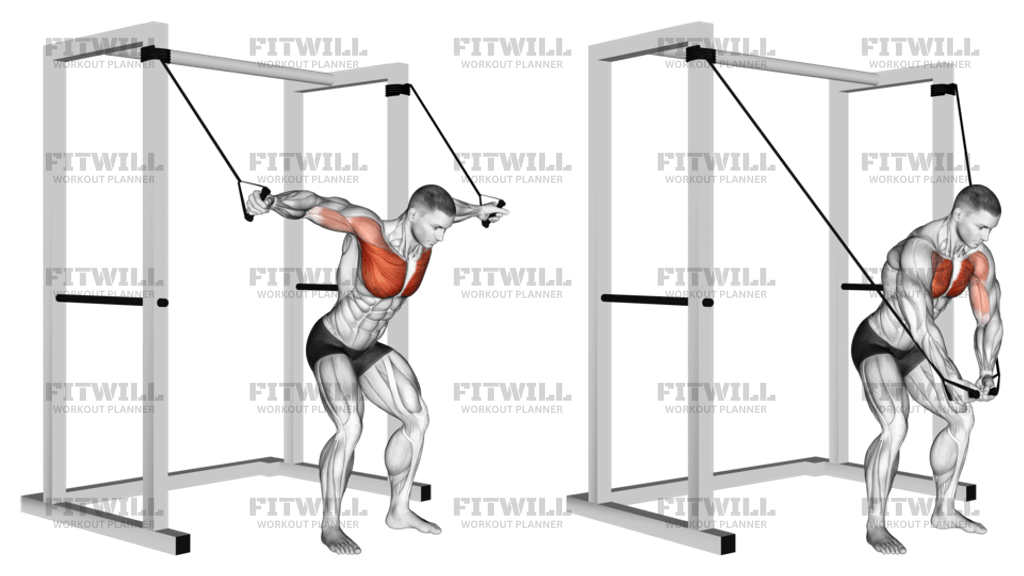 Band High Fly: Exercise Guide, Video, Techniques, Benefits, How to ...