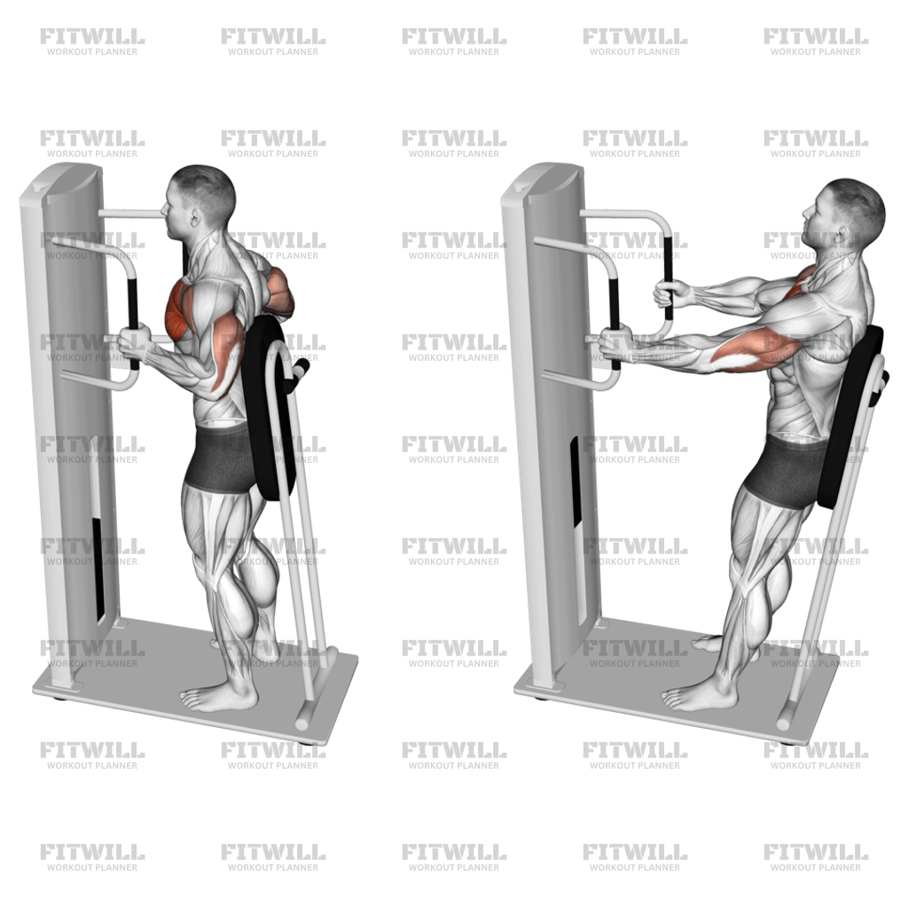 Lever Standing Chest Press: Exercise Guide, Techniques, Benefits, How ...