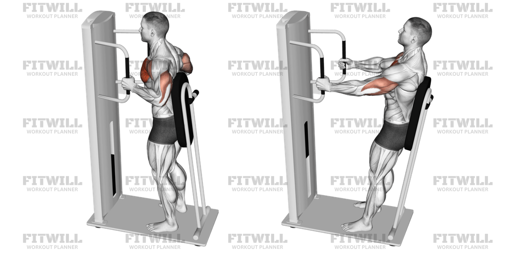 Lever Standing Chest Press: Exercise Guide, Techniques, Benefits, How ...