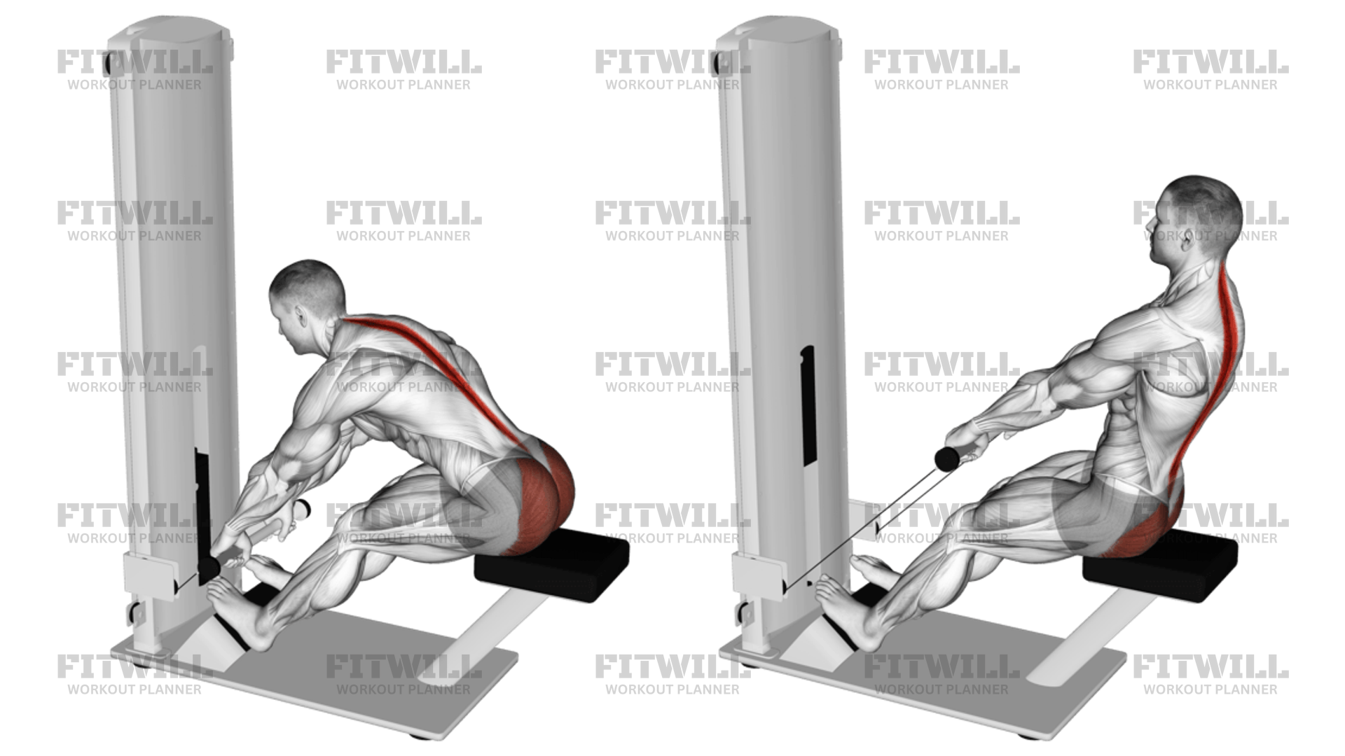 Lever Seated Good Morning: Exercise Guide, Techniques, Benefits, How to ...