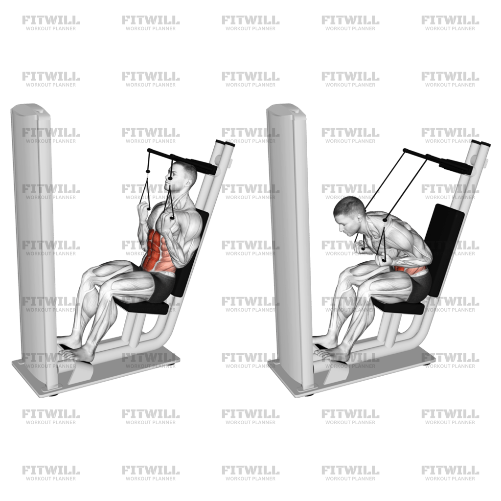 Lever Seated Crunch (VERSION 2): Exercise Guide, Techniques, Benefits ...